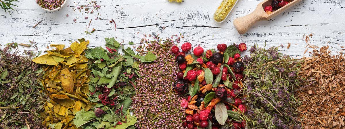 Qu'est-ce que la Naturopathie ? Fondements et bienfaits